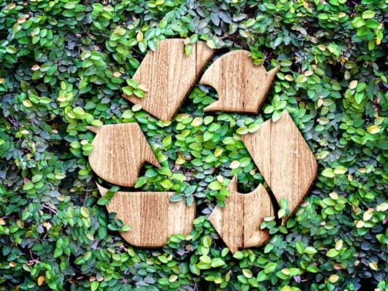 Making The Switch To Reusable And Sustainable Materials | Well.Org