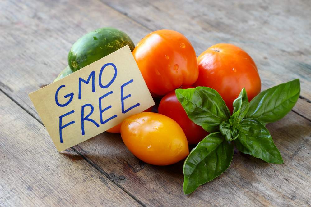 GMO Scandal: Why You Should Avoid Genetically Modified Food