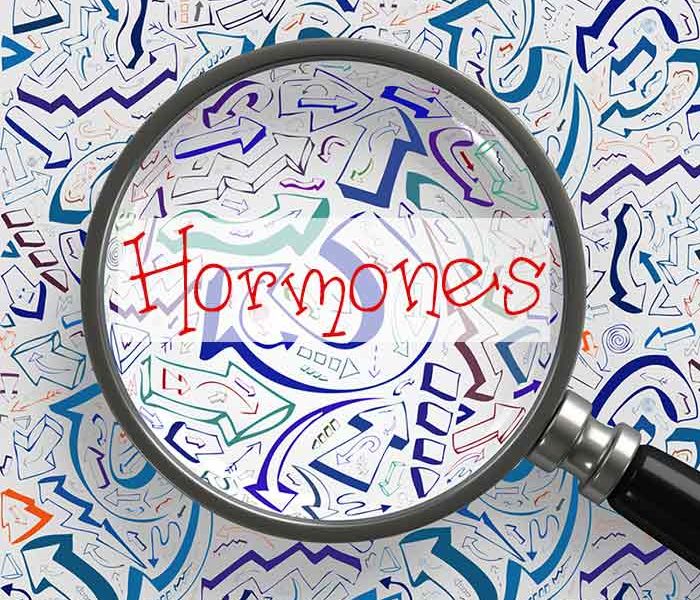 Get Control of Your Hormones! - Well.Org