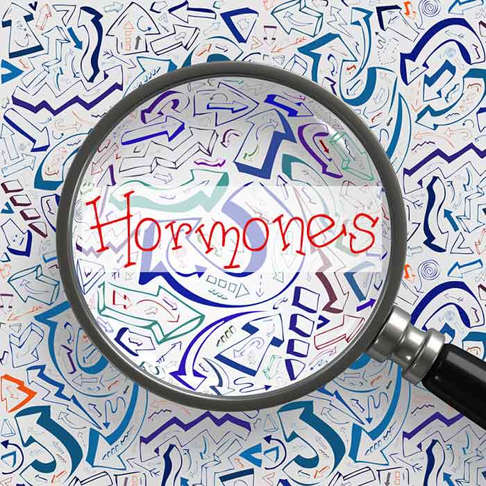 Get Control of Your Hormones! - Well.Org