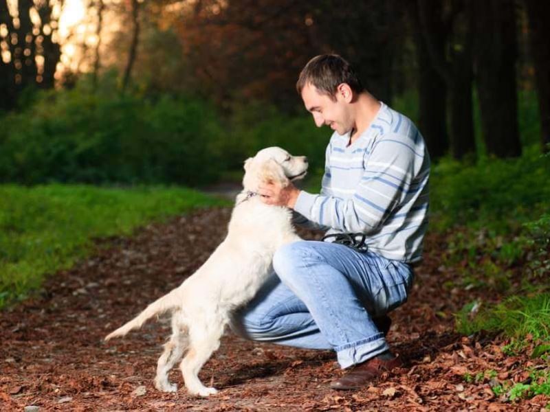 Purely Scientific Reasons to Love a Fur Baby - Well.Org