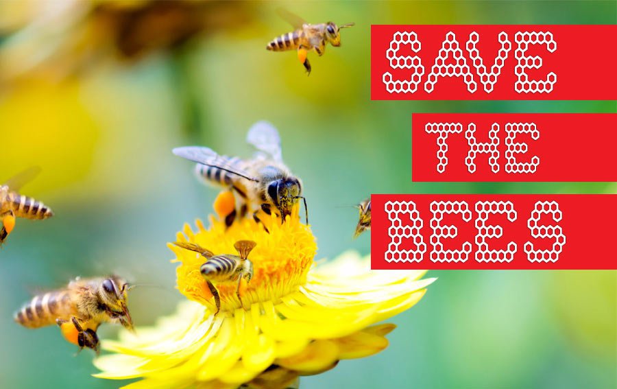 Bee Conscious: Small Decisions, Big Consequences - Well.Org