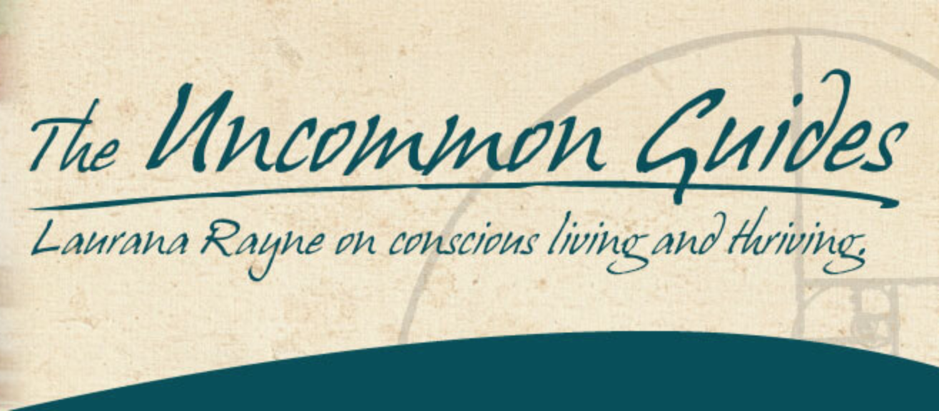 Conscious Business Directory - Well.Org