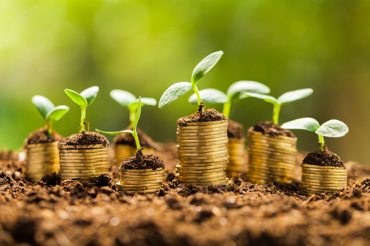7 Ways to Grow Financial Wealth Through Sustainable Income
