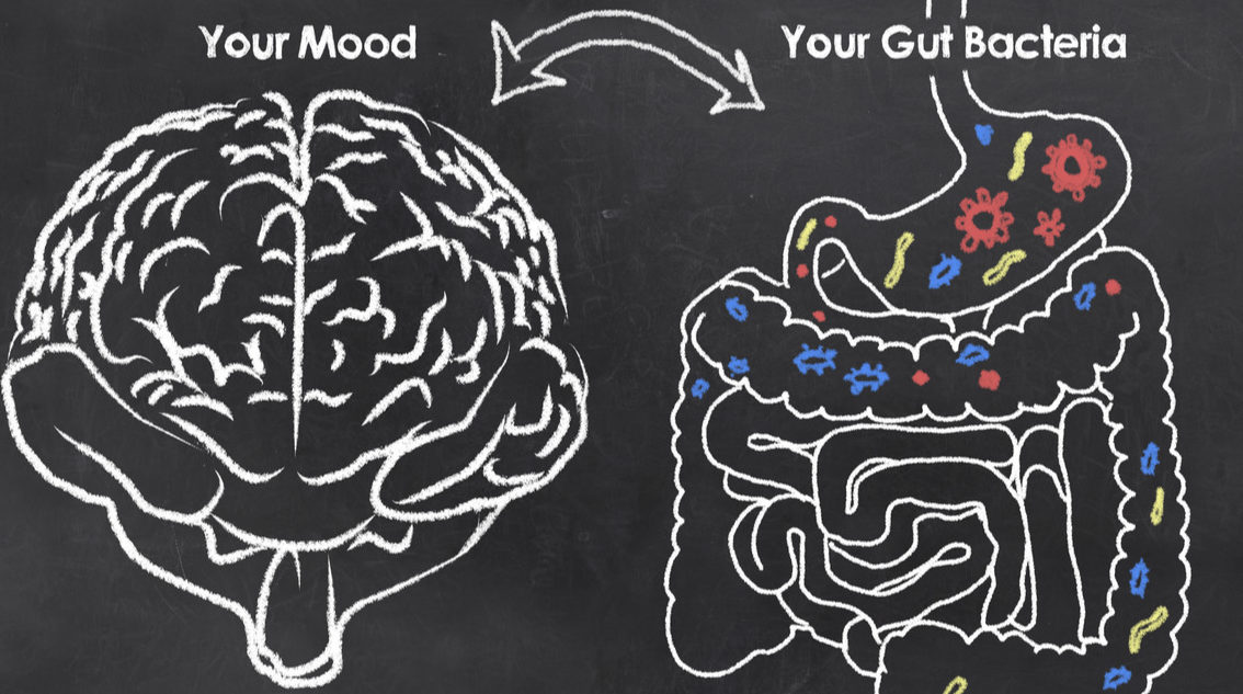 A Mind of Your Own with Dr. Kelly Brogan - Well.Org